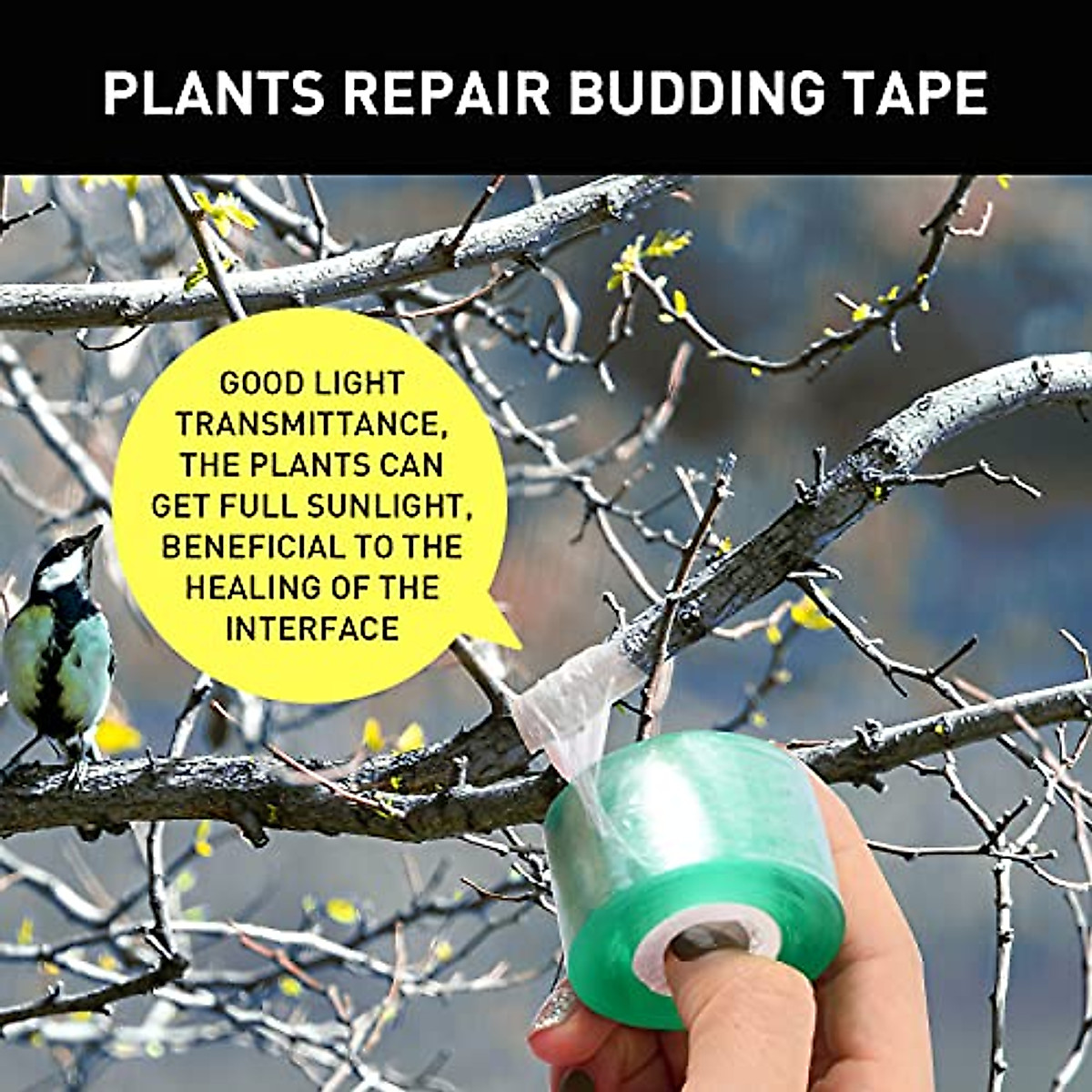4 Rolls Garden Grafting Tape for Fruit Trees, Plants Repair Tapes, PE Grafting Film, Tree Grafting Supplies, Stretchable Clear Floristry Grafting Film for Garden Tree Seedling (2 Green 2 White)