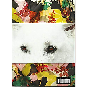 DOG EYES MAGAZINE * WE LOVE PUPS * OPERA A LITTLE BOO * ISSUE, 2020 * ISSUE # 08