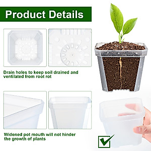 42 Pack 4 Inch Clear Plant Nursery Pot Sets with Humidity Dome and Drain Holes Include 20 Plastic Gardening Pot 20 Labels, 2 Marker Pen Seed Starting Container for Seedlings Vegetables Succulents