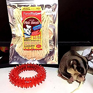 Polar Bear's Pet Shop 1 Pcs Family Pack Fish Flavor Sugar Glider Hamster Squirrel Chinchillas Small Animals Sandwich Snacks and Food (120g)