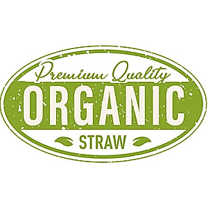 Organic Garden Straw (10lb) | Blue Mountain Hay | Straw Mulch for Raised Bed Gardens, Yard Landscaping, New Lawn Grass Seed Plantings, Tomato & Vegetable Compost & Fertilizer | Covers up to 150 sq ft