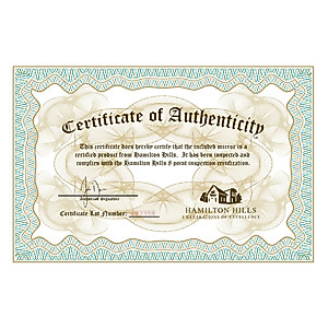 Hamilton Hills Contemporary Brushed Metal Wall Mirror | Glass Panel Black Framed Squared Corner Deep Set Design | Mirrored Rectangle Hangs Horizontal or Vertical (24" x 36")