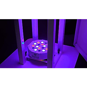 Rockville Battery PAR 50 Black, 10 Pack Rechargeable RGB Wash Lights with Charging Flight Case, Includes RF Remote, 10 Hour Battery Life, Perfect for Events, Parties & DJ Gigs