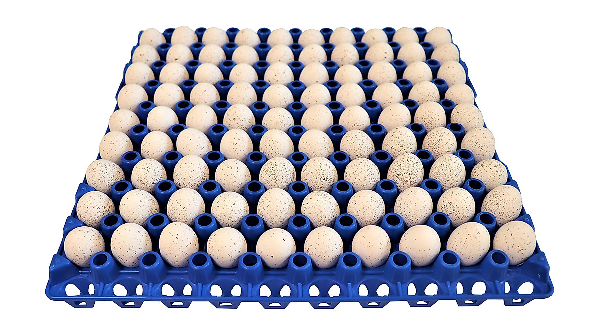 90 Egg Plastic Trays for Quail & Pigeon - Rite Farm Products