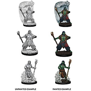 WizKids D&D Nolzurs Marvelous Unpainted Miniatures: Wave 5: Water Genasi Male Druid