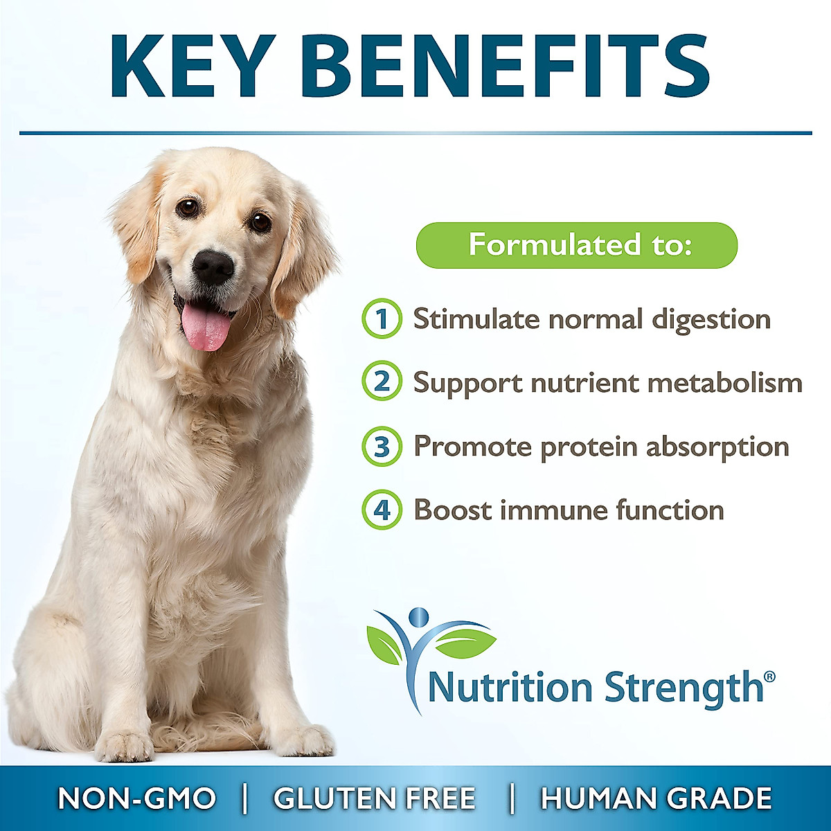 Nutrition Strength Papaya for Dogs Digestive Enzyme Complex to Support Normal Intestinal Function, Boost Immunity, with Organic Papaya Fruit + Papain, Protease & Amylase, 90 Soft Chews