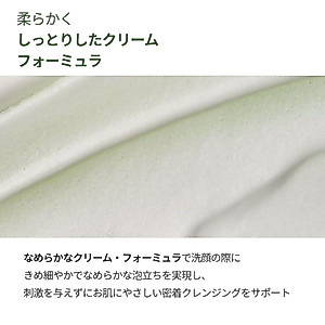 ROUND LAB Mugwort Calming Cleanser | Cleanse and calm simultaneously, Formulated with 4-CICA, Soothing, Low pH, Moisturizing, Cream Type Cleanser (5.07 fl.oz)