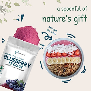 Organic Blueberry Extract Powder, 6oz | 100% Natural Fruit Powder | Freeze-Dried Wild Blueberries Source | No Sugar & Additives | Great Flavor for Drinks, Smoothie, & Beverages | Non-GMO & Vegan