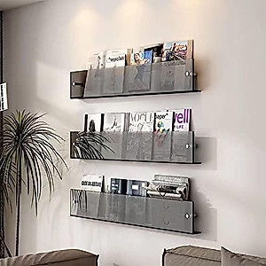 2-Pack Acrylic Magazine Holder Brochure Holder, 17" Record Holder Magazine Rack, Fashion Hanging Bookshelf Literature Storage Rack for Waiting Room, Living Room, Office,Translucent Gray 17 Inch