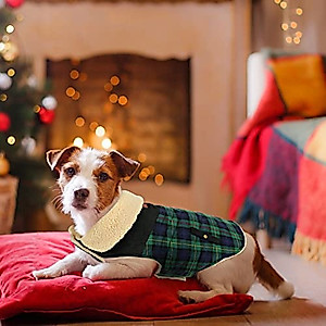 Preferhouse Winter Coat for Small and Medium Dogs, Puppy Plaid Jacket, Cotton Coat for Cold Weather, Windproof Warm Dog Garments, Pet Thickened Outfits Indoor Outdoor, Green L