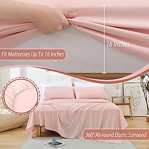 Whitney Home Textile Twin Size Sheet Set - Luxury Soft Comfy Bed Sheets, Breathable Cooling Hotel Bedding for Women, Men, Teens, Extra Deep Pocket, Easy-Fit, Oeko-Tex, Wrinkle Free 3 Piece - Pink