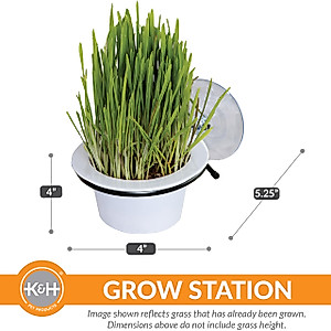 K&H Pet Products EZ Mount Cat Grass Grow Station for Window - Healthy Home Grown Grass Cat Kit for Bored Indoor Adult Cats, Pairs Purr-fectly with Cat Window Perches, Farmed in USA Non-GMO Grass