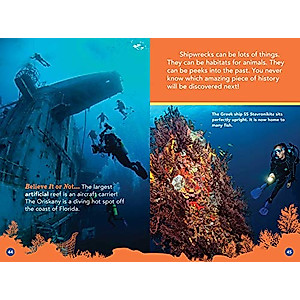 Ripley Readers LEVEL 4 Shipwrecks