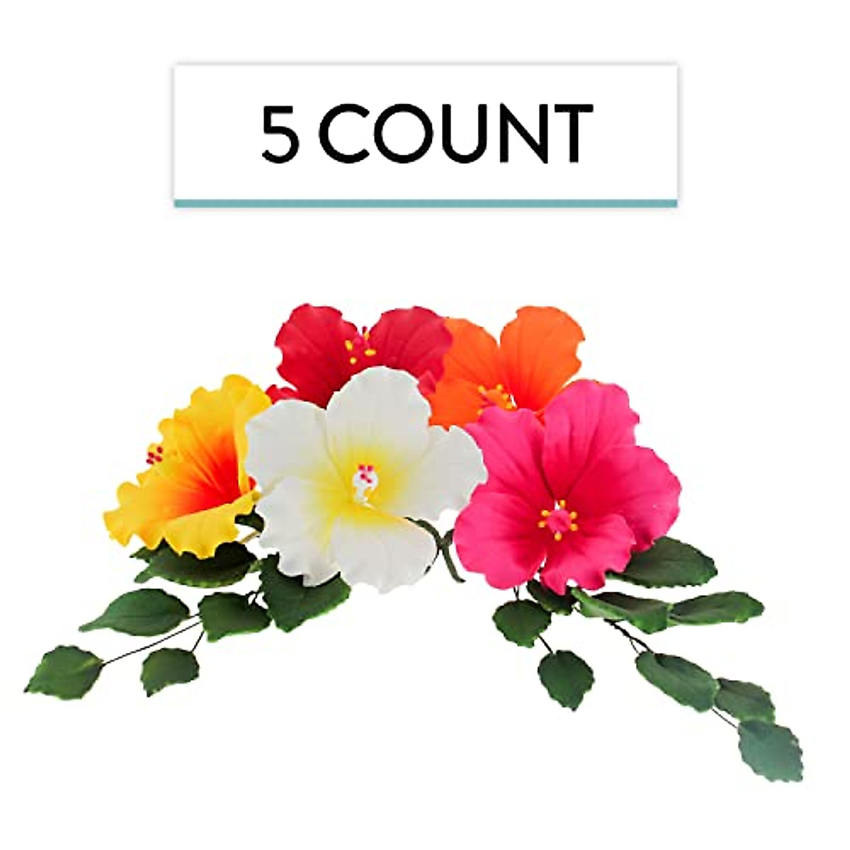 Global Sugar Art Hibiscus Sugar Cake Flowers, Assorted Colors, 5 Count and Leaf Sprays by Chef Alan Tetreault