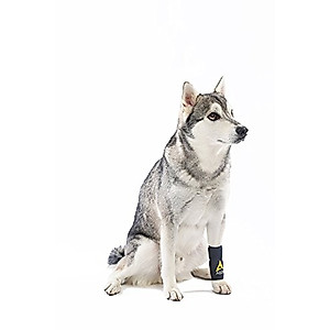 AGON® Dog Canine Front Leg Brace Paw Compression Wraps with Protects Wounds Brace Heals and Prevents Injuries and Sprains Helps with Loss of Stability Caused by Arthritis (Small/Medium)