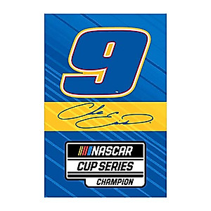 Chase Elliott #9 NASCAR 2020 Champion 2x3 Inch Fridge Magnet