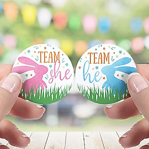 What Will Our Little Bunny Be Gender Reveal Party -Team He or Team She - 40 Stickers