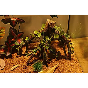 HRRIVE Reptile Corner Climbing Branch with Plant Leaves Terrarium Habitat Decoration for Bearded Dragon Lizard Snake Hermit Crab Crested Gecko Leopard Chameleon Frog Climbing Accessory