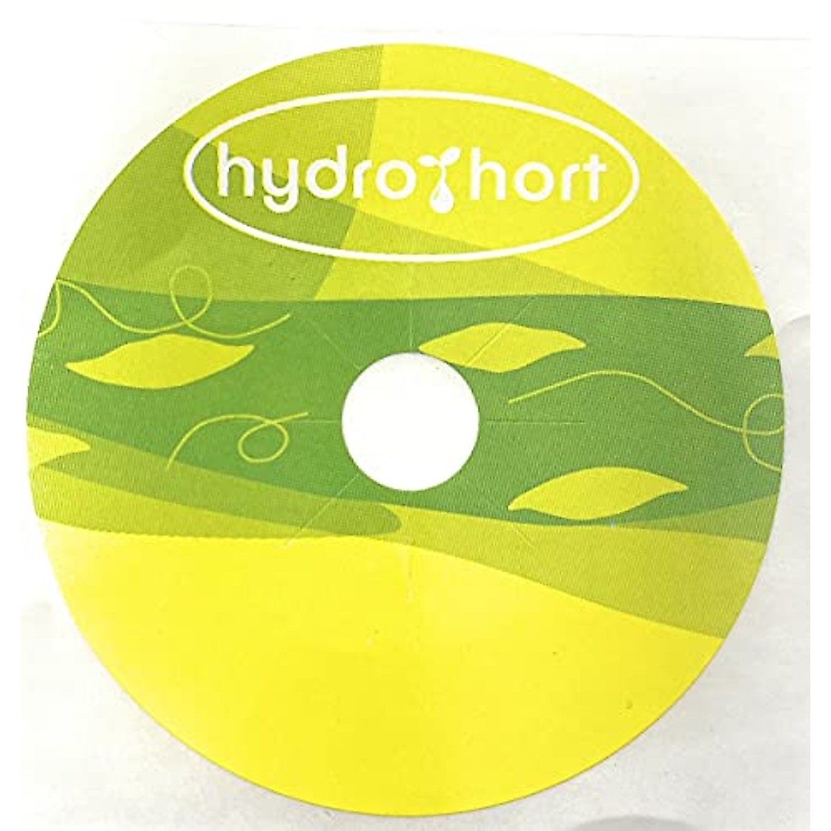 Curly Parsley Herb Growing Kit by Hydrohort | Growing Parsley Seeds is Easy with Our Mason Jar Herb Garden Starter Kit | Parsley Seeds for Planting are Perfect in Our Herb Kit