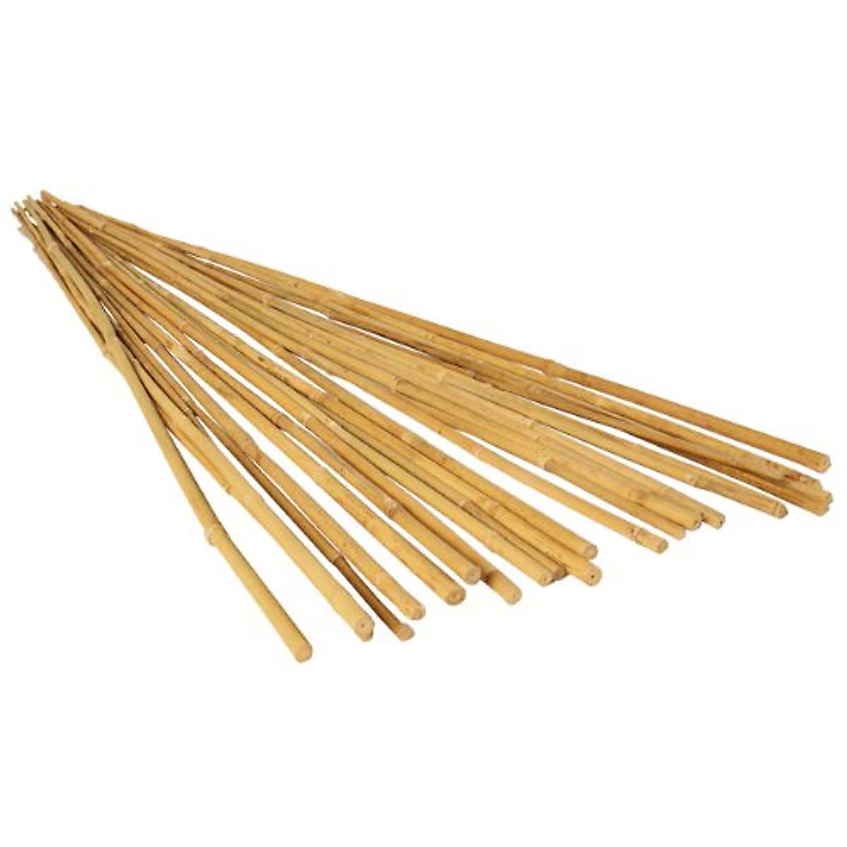 GROW!T Hydrofarm HGBB2 2' Natural Bamboo Stake, Pack of 25, Tan