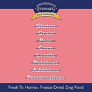 Stewart Raw Naturals Freeze Dried Dog Food Grain Free Made in USA with Chicken & Salmon, Fruits, & Vegetables for Fresh to Home All Natural Recipe, 12 oz.