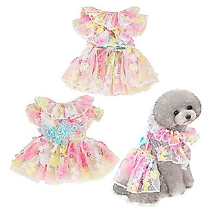 Pet Skirts Dog Clothes Cat Clothing Princess Spring Summer Breathable Wedding Dress Cool Colorful Lace Skirt Pet Clothes