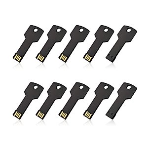 RAOYI 10 Pack 2GB USB Flash Drive USB 2.0 Metal Key Shape Memory Stick Thumb Drive Pen Drive-Black