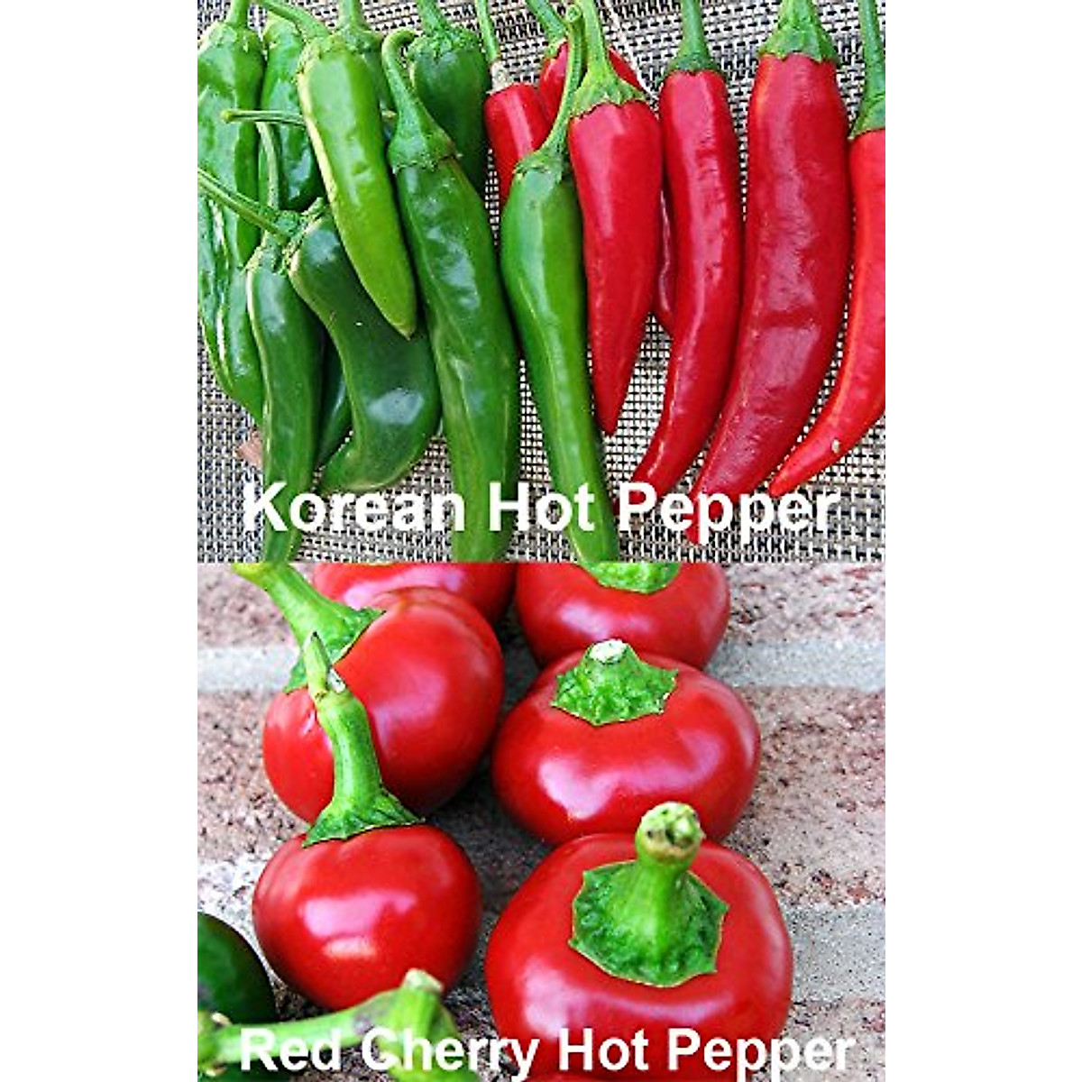 PLEASE READ! THIS IS A MIX!!! 30+ Hot Pepper Mix Seeds, 16 Varieties Heirloom NON-GMO Habanero, Tabasco, Jalapeno, Yellow and Red Scotch Bonnet, Ships from USA! US Grown.