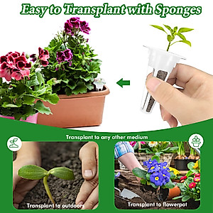 208 Pack Growth Sponges Seed Pod Kit for Plant, Seed Starter Pods Kit for Hydroponics Growing System, Replacement Sponges Pods Refill Growth Sponges Hydroponics Supplies Plant Nutrient