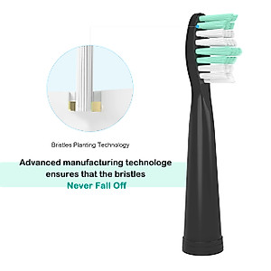 Relax Artist Toothbrush Replacement Heads Compatible with Fairywill Toothbrush Heads Handle Fairywill FW-507/508/551/515/917/959/2011 FW-D1/D3/D7/D8 for Fairywill Electric Toothbrush 8 Count