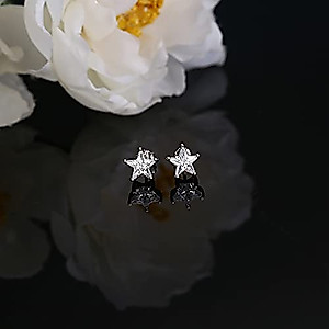 Sllaiss Sterling Silver Star Stud Earrings Cute CZ Stud Earrings for Women Men Dainty Earrings Stud Jewelry Gifts(Star)
