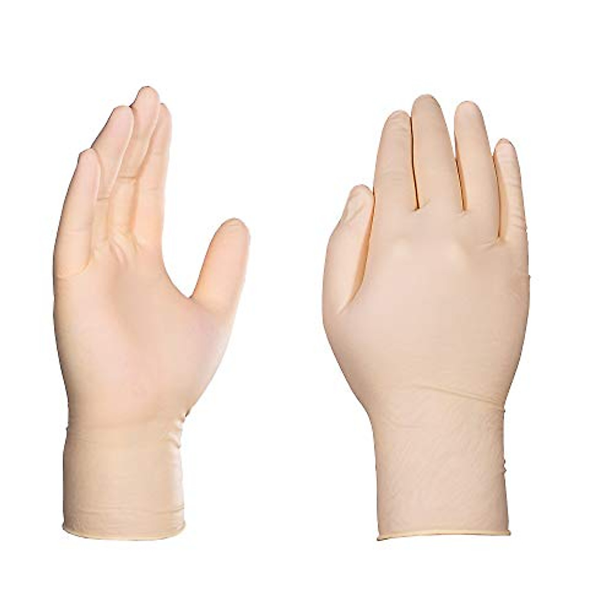 GLOVEWORKS unisex adult 100 Gloves, Beige, Small Pack of US