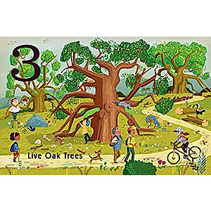 Trees: A Count and Find Primer (BabyLit)