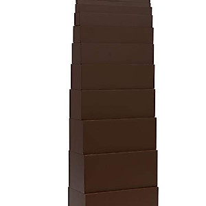 Montessori Toys for 3+ Year Old Wooden Brown Stairs Stacked Arrangement Ladder Blocks Development Sensory Toys Montessori Preschool Learning Math Baby Games Educational Toys(10 Piece Set)