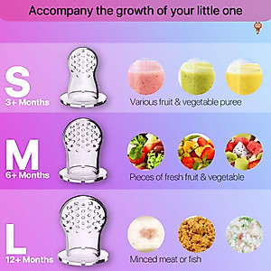 Baby Food Feeder Fruit Feeder Pacifier (2 Pack) - Silicone Fresh Food Feeder with 6 Replaceable Silicone Teething Pacifiers, Infant Teething Toy Teether, Ideal Teething & First Baby Feeding by MICHEF