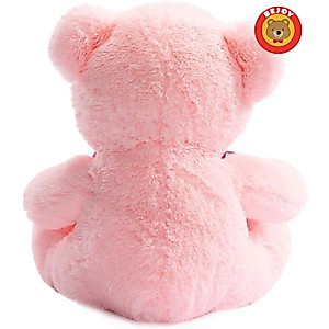 BEJOY Teddy Bear Stuffed Animals Plush Bear Holding Rose Soft Plush Toy Valentine's Day, 16 Inch, Pink