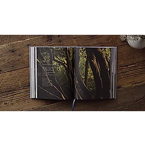 ESV Psalms, Photography Edition (Hardcover)