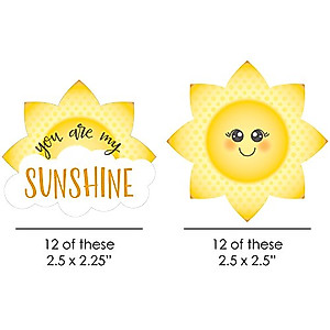 Big Dot of Happiness You are My Sunshine Paper Straw Decor - Baby Shower or Birthday Party Striped Decorative Straws - Set of 24