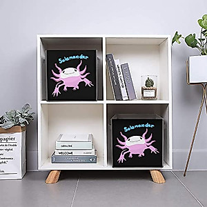 Salamander Axolotl Storage Bin Foldable Cube Closet Organizer Square Baskets Box with Dual Handles