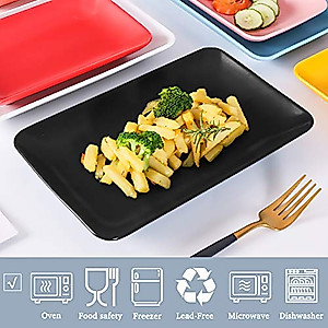 AQUIVER 10" Ceramic Platters - Party Porcelain Matte Rectangular Serving Plates - for Appetizer Plates, Party, Sushi, Entertaining Guests, Set of 3 (Black)