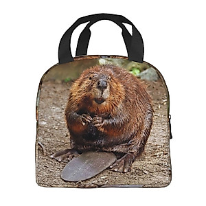 Larklitz Cute Funny Beaver Reusable Insulated Lunch Bag, 8.5in x 8in x 5in, Polyester, For Women Men