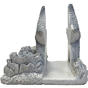 World of Wonders "Under the Seasoning" Ocean Harmony Series Elegant Starfish Napkin Holder Salt and Pepper (3 Piece Set) | Beach House Shabby Chic Sea Life Marine Nautical Home Decor Accent - 6.5"