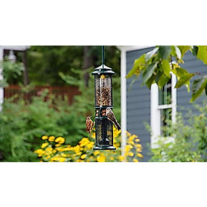 Squirrel Buster Nut Feeder Squirrel-Proof Bird Feeder for Nuts and Fruit, Two Meshes
