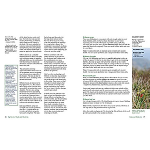 The Big Book of Backyard Medicine: The Ultimate Guide to Home-Grown Herbal Remedies