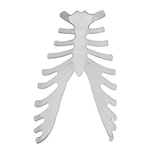 Vision Scientific VAS220-CC0 Life Size, Total Disarticulated Skeleton | Bones & Osteological Features Numbered for Identification | 3-Part Skull | Key to Numbered Structures W Manual & Carrying Case
