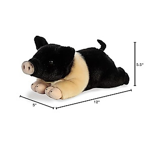 Aurora® Realistic Miyoni® Hampshire Pig Stuffed Animal - Lifelike Detail - Cherished Companionship - Black 12 Inches