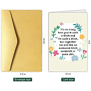 Best Friend Birthday Card, Funny Birthday Card for Bestie Sister, Friendship Card for Women Lady Girl, Thinking of You Card, Bitch Sandwich