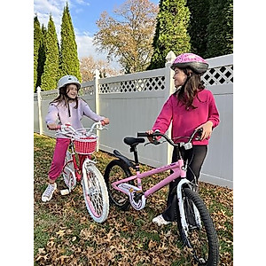 RoyalBaby Freestyle Kids Bike 20 Inch Wheel Bicycle Teens BMX with Dual Hand Brakes Kickstand Boys Girls Ages 6-10 Years, Pink
