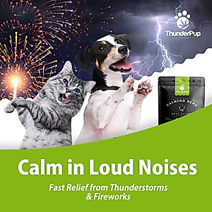 ThunderPup Premium Hemp Chews | Natural Calming Hemp Treats for Thunderstorms, Fireworks, Separation, & Traveling | Hip and Joint, Immune, & Overall Health Support, Chamomile & Valerian Root.