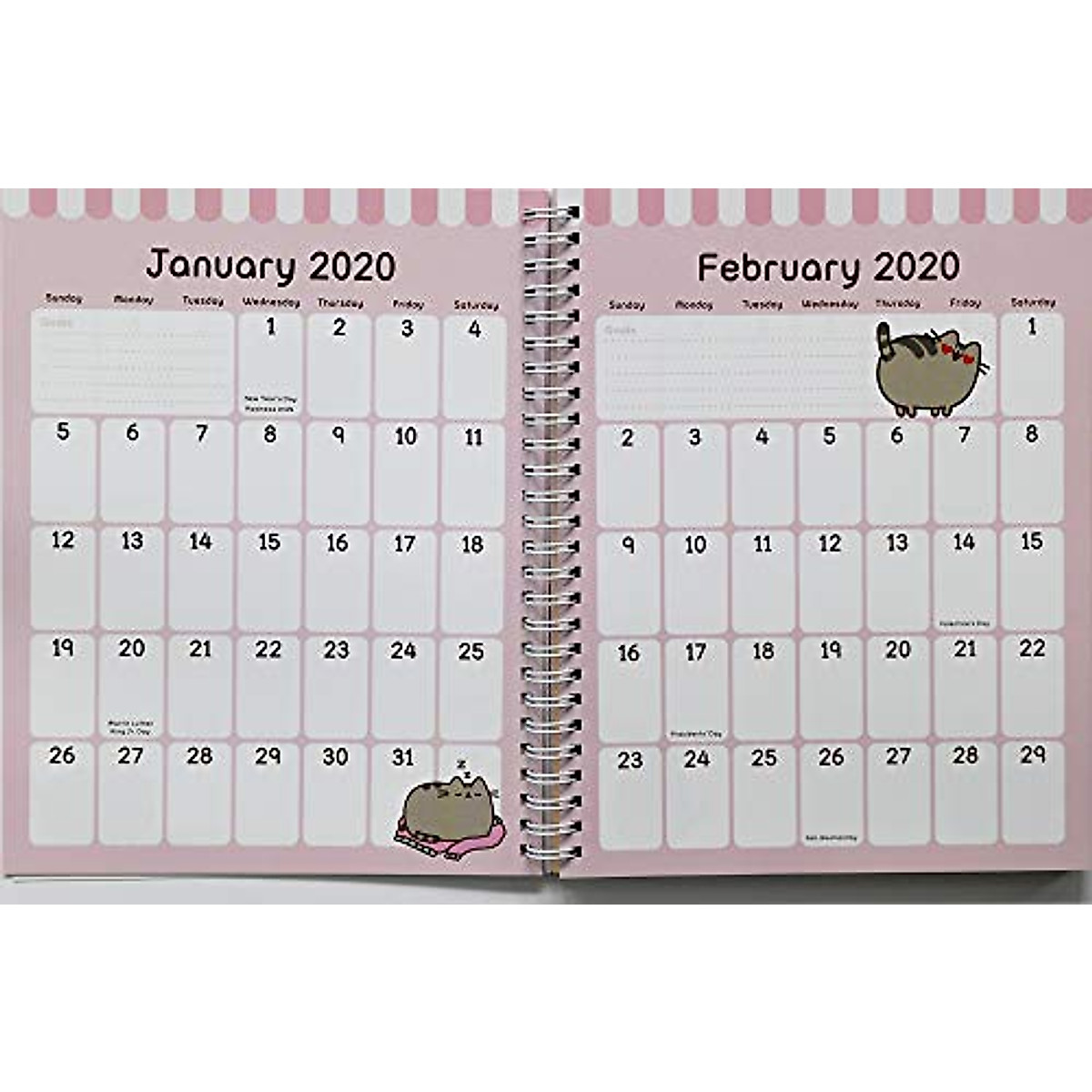 Pusheen 2019-2020 Weekly/Monthly Planner Calendar